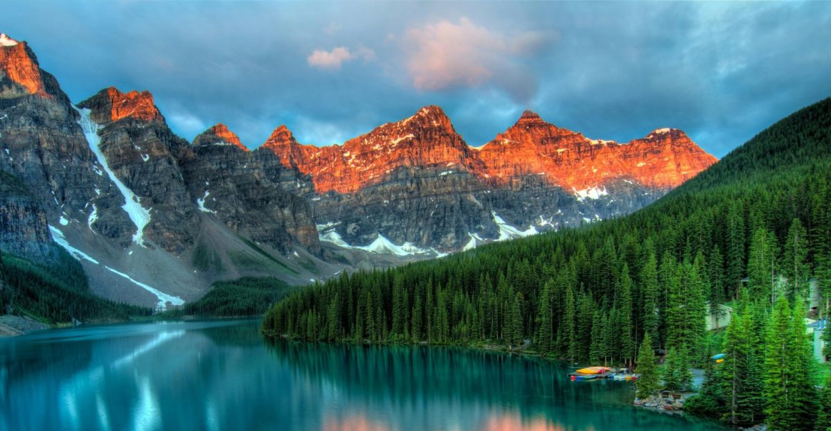 Latest EDCI press releases - EDCI